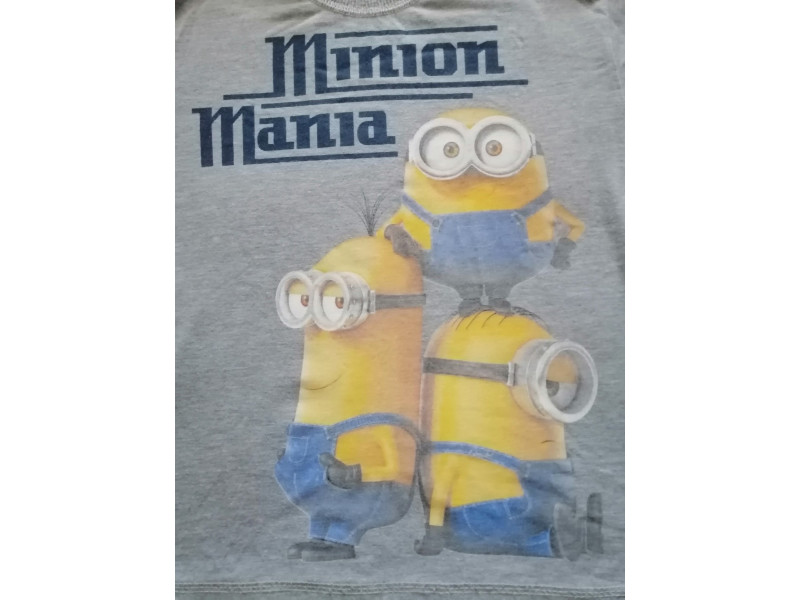 MINION MANIA DUKS