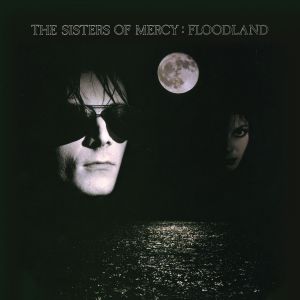 The sisters of mercy