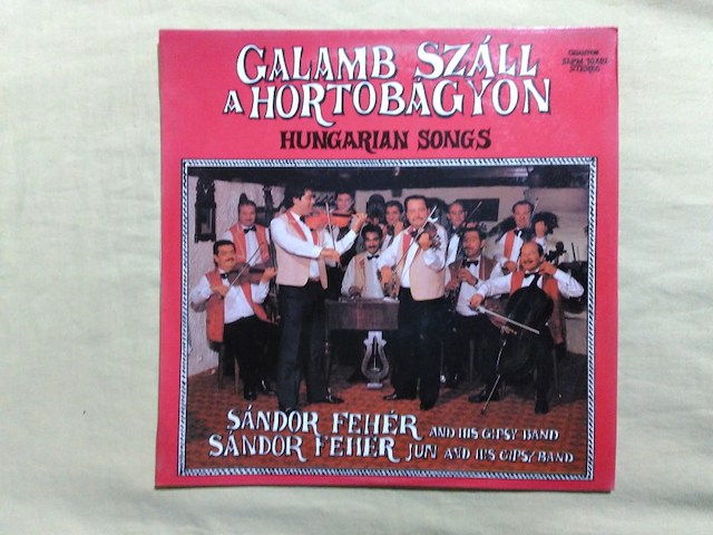 Hungarian songs, Galamb szall