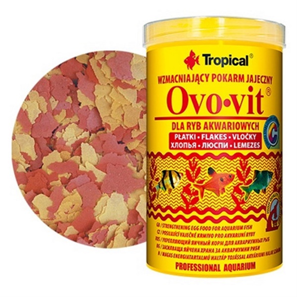 Tropical OVO-VIT