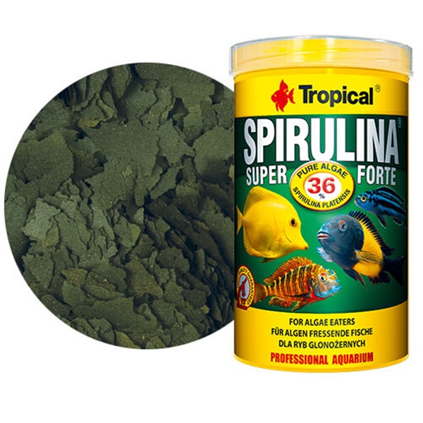 Tropical SUPER SPIRULINA FORTE 36%