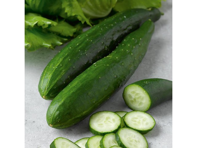 Krastavac Dugi zeleni (Cucumis sativus)