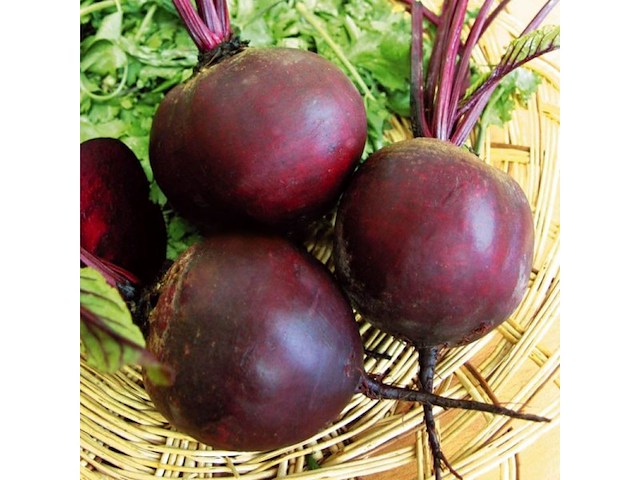 Cvekla Bikor (Beta vulgaris rubra)