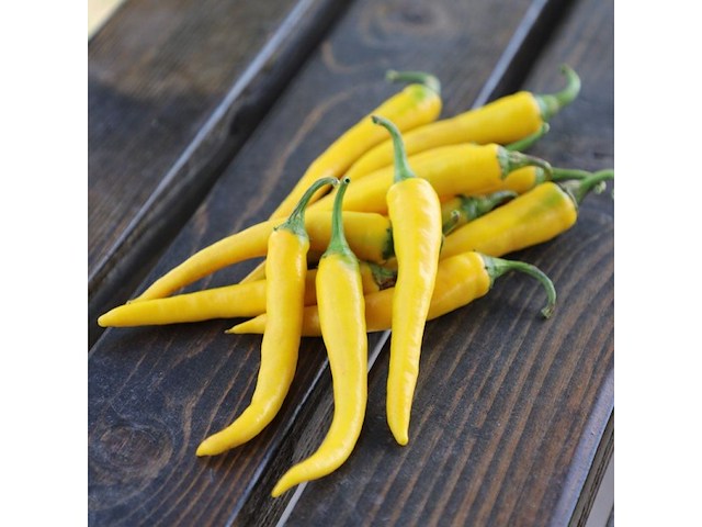 Paprika Feferoni žuti ljuti (Capsicum annuum)