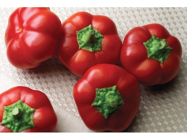 Paprika Rotund (Capsicum annuum)