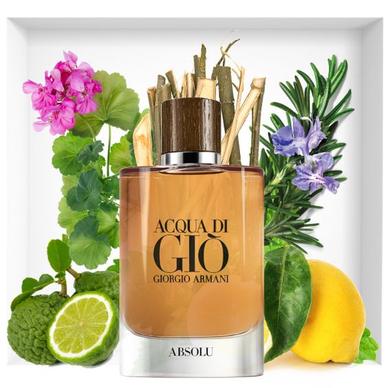 Armani ACQUA DI GIO ABSOLU EDP / 75ml / Muški Parfem