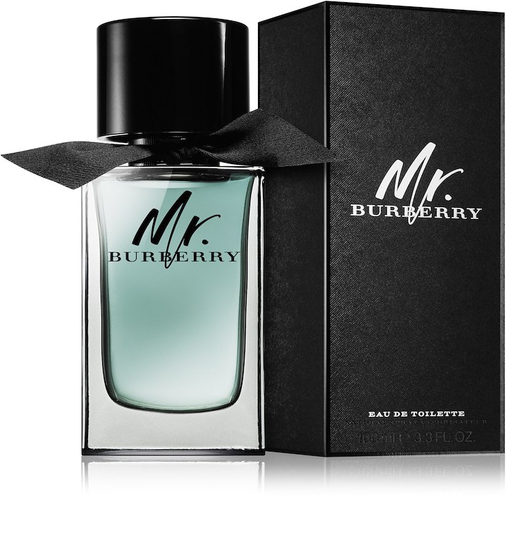 BURBERRY MR BURBERRY 100ml Muški