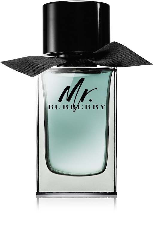 BURBERRY MR BURBERRY 150ml Muški