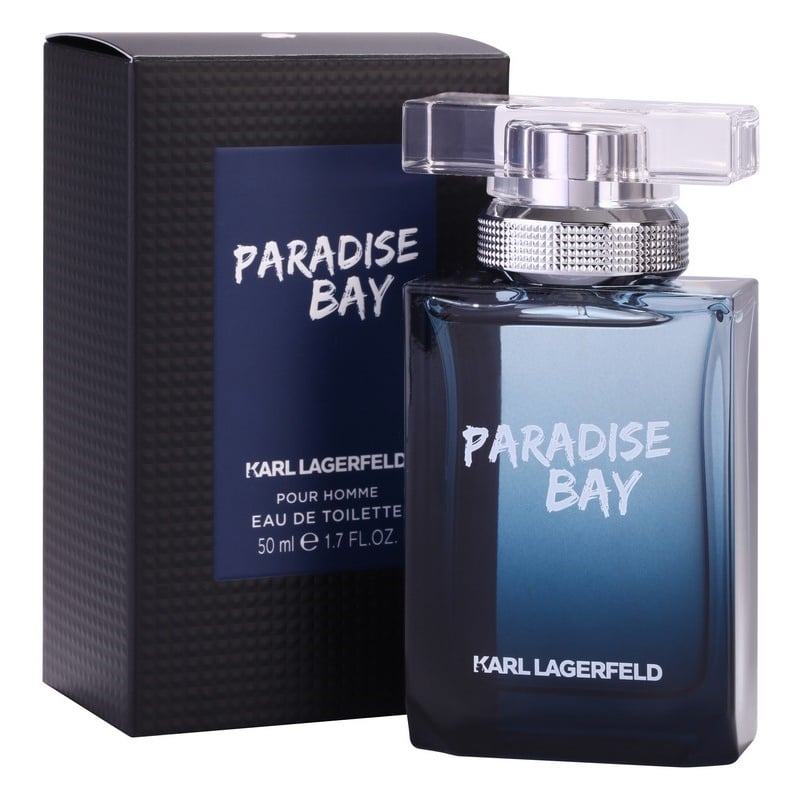 PARADISE BAY POUR HOMME NEW 2015 / 100ml / Muški