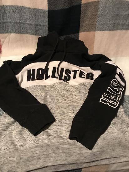 Hollister duks