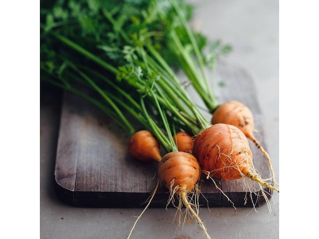 Šargarepa, Mrkva Pariska Tržišna (Daucus carota sativus