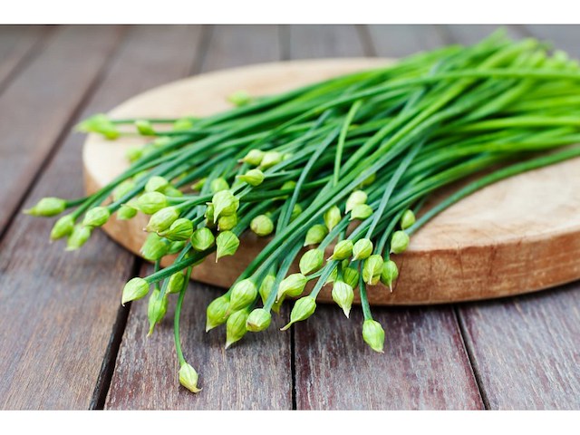 Kineski Luk vlašac (Allium tuberosum)