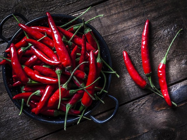 Paprika Feferoni crveni ljuti (Capsicum annuum)