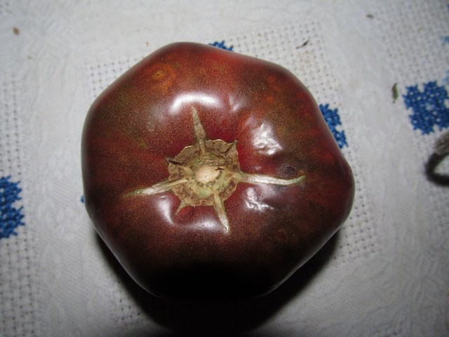 Black Krim seme paradajza, 10 semenki