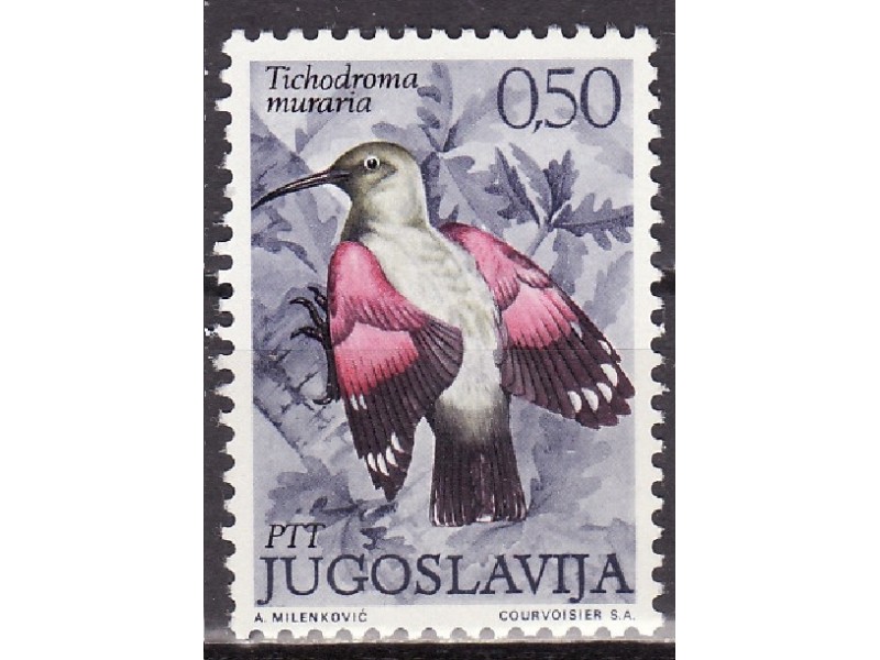 Ju - ptica