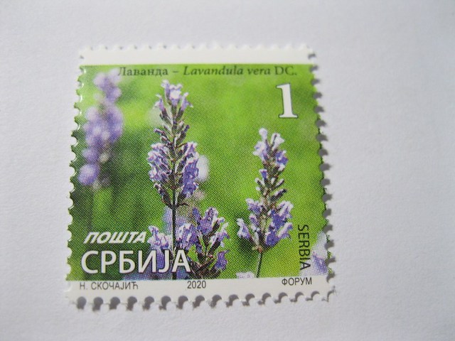 Redovna marka, Srbija, 2020., Flora, Lavanda