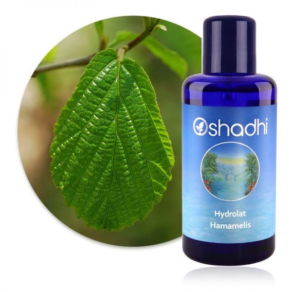 Oshadhi hidrolat hamamelis 100ml