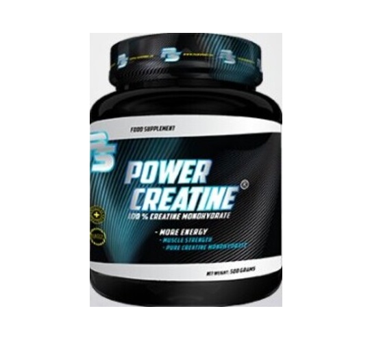 Pansport power creatine (500g)