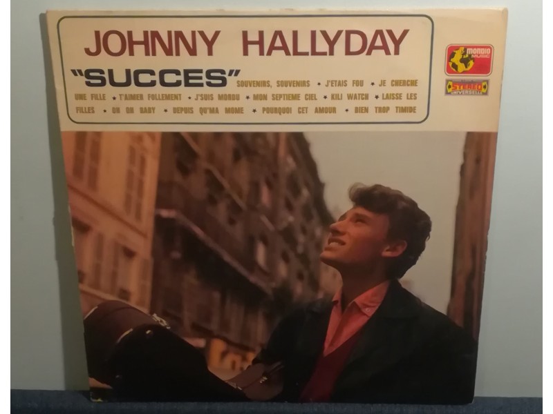 Johnny Hallyday - Succes