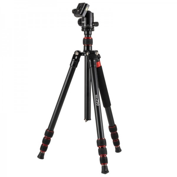 Tripod Basic 250, Omegon