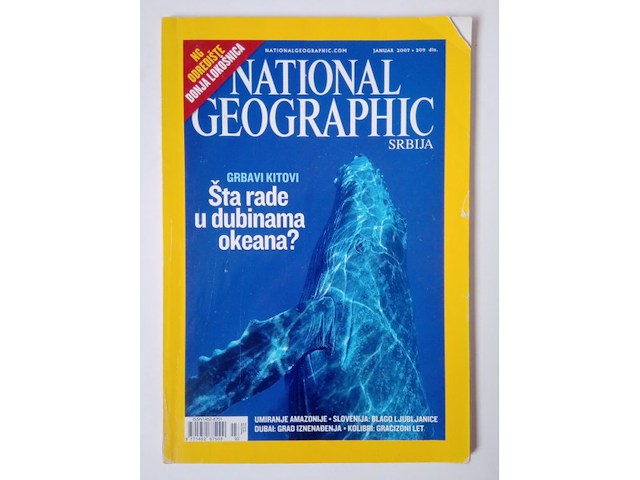 NATIONAL GEOGRAPHIC Grbavi kitovi - Januar 2007