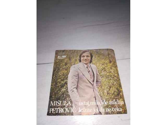 Mišula Petrović - Ustaj, mila, ide ašiklija