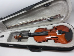 Violina -Violina -4/4 Violina