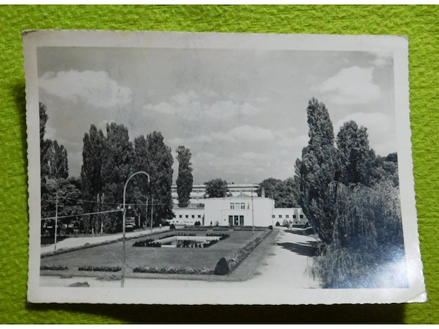 Niška Banja 1954