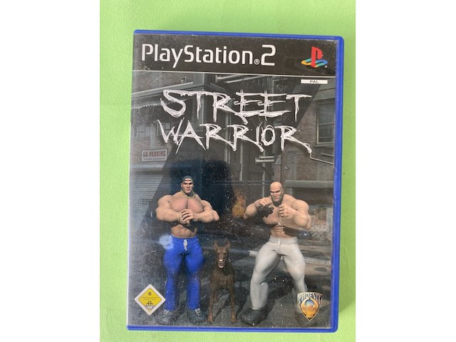 Street Warrior - PS2 igrica