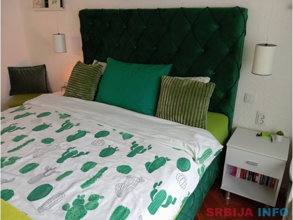 Green Cactus Rooms - privatni smeštaj u Senti do 6 osoba