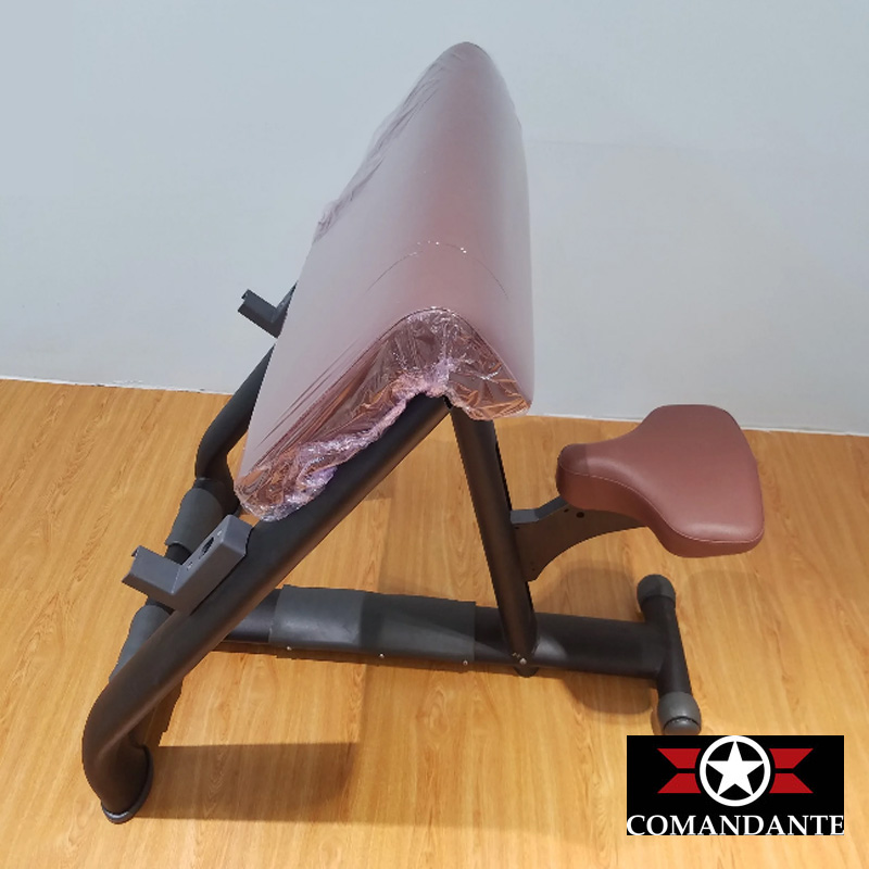 •Preacher Curl CSR 2026 DM