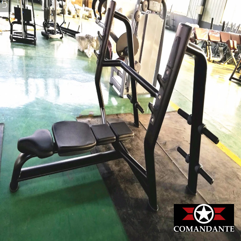 Olympic Flat Bench CSR 2024 DM