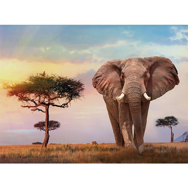 Clementoni puzzle African Sunset 500 pcs CL35096