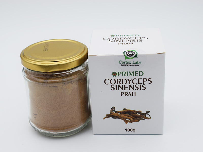 Cordyceps Sinensis prah 100g