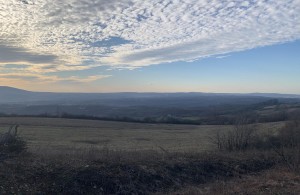 Prodajem Poljoprivredno Zemljište, 3,5hektara Varovnice Mladenova, Beograd Grad