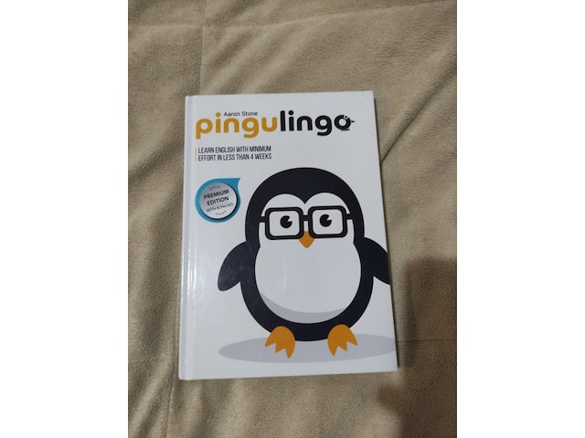 PINGULINGO,learn english ,Aaron Stone
