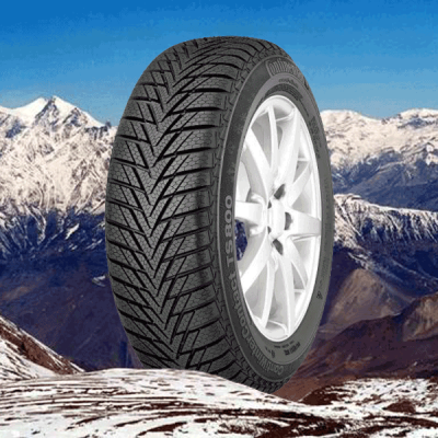 145/80 R13 CONTINENTAL WINTER CONTACT TS 800 75 Q (E) (C) (71)