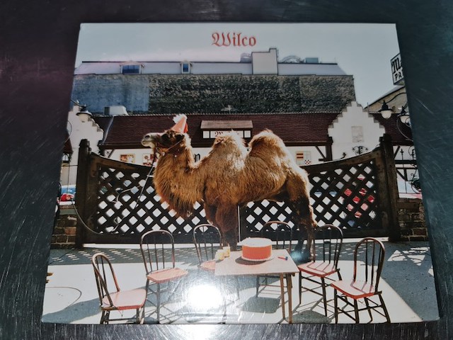 Wilco - Wilco (the album) , U CELOFANU