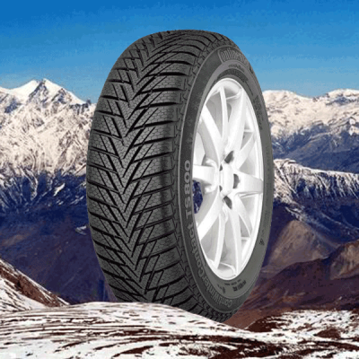 175/55 R15 CONTINENTAL WINTER CONTACT TS 800 77 T (D) (C) (71)