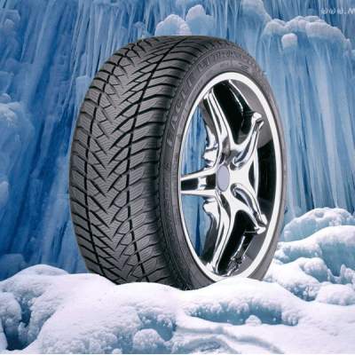 225/45 R17 GOODYEAR EAGLE ULTRA GRIP GW-3 MS 91 H * ROF FP (D) (C) (70)