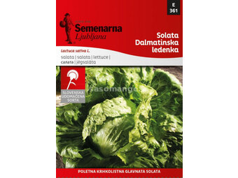 Seme - Zelena salata dalmatinska ledenka - Lactuca sativa L. 361