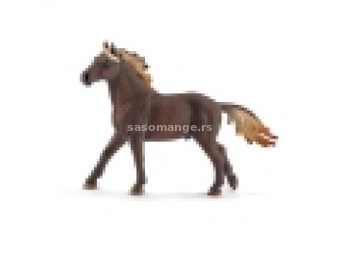 Schleich Mustang pastuv 13805