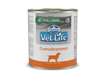 Vet Life veterinarska dijeta dog Convalesence vlažna hrana u konzervi 300g