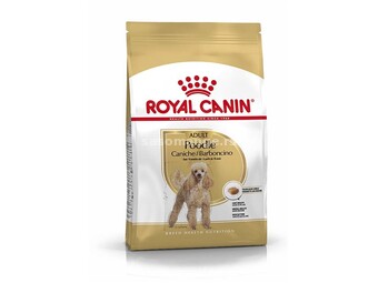 Royal Canin hrana za pse Poodle Adult 1.5kg