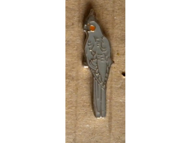 Ukrasne ptice `Papagaj` (2)