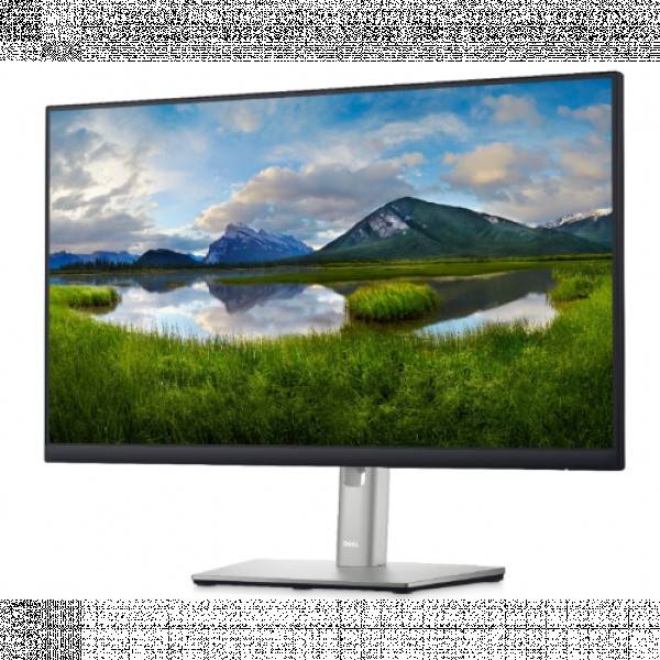 Monitor 23.8&quot; Dell P2422H 1920x1080/Full HD/IPS/5ms/HDMI/VGA/USB