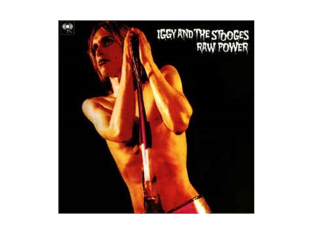 Iggy and the Stooges-Raw power(LPx2,repress 2016)