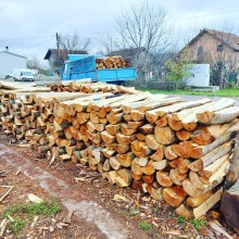 Prodaja ogrevnog drveta bukva ns