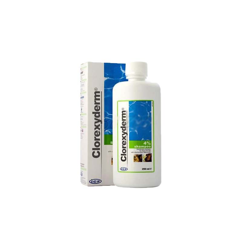 ICF clorexyderm šampon 4% 250ml