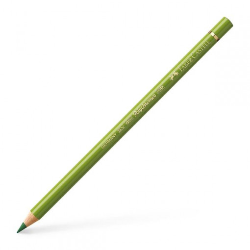 Faber Castell Polychromos – Earth Green Yellowish 168